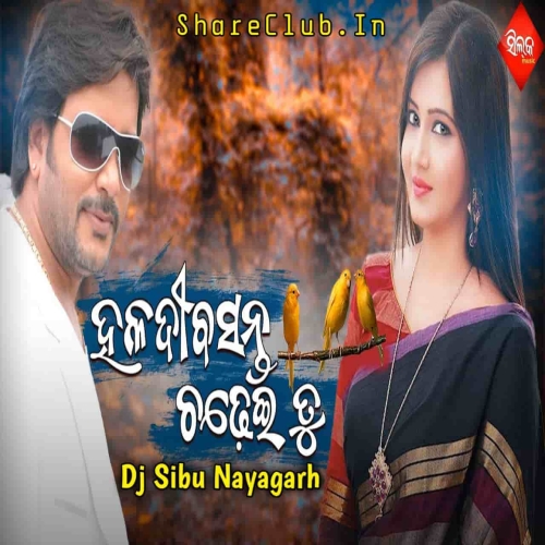 Haladi Basanta Chodhei Tu (Trance Mix) Dj Sibu Nayagarh Mp3 Song ...